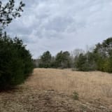 Carbuncle Pond and Moosup River Trail, Rhode Island - 261 Reviews, Map ...