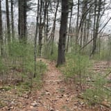 Carbuncle Pond and Moosup River Trail, Rhode Island - 261 Reviews, Map ...