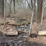 Carbuncle Pond and Moosup River Trail, Rhode Island - 261 Reviews, Map ...