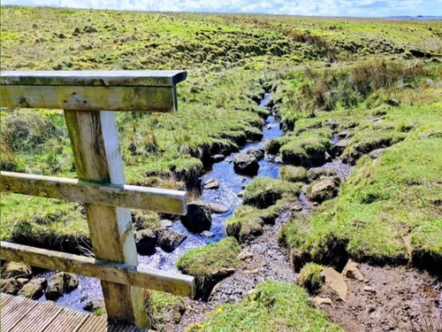 Divis and Black Mountain, National Trust: de beste routes om te ...