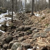 Boulder Loop Trail, New Hampshire - 2,060 Reviews, Map | AllTrails
