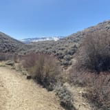 Keystone Canyon Trail, Nevada - 1,169 Reviews, Map | AllTrails