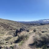 Keystone Canyon Trail, Nevada - 1,169 Reviews, Map | AllTrails