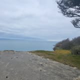 Dungeness Recreation Trail, Washington - 78 Reviews, Map | AllTrails