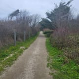 Dungeness Recreation Trail, Washington - 78 Reviews, Map | AllTrails