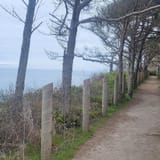 Dungeness Recreation Trail, Washington - 78 Reviews, Map | AllTrails