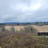 Dungeness Recreation Trail, Washington - 78 Reviews, Map | AllTrails