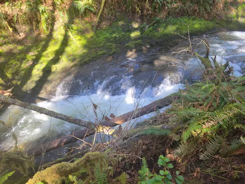 Best Waterfall Trails in Capitol State Forest | AllTrails