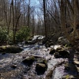 Soco Falls Trail, North Carolina - 727 Reviews, Map | AllTrails