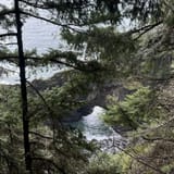 Natural Bridges Viewpoint Trail, Oregon - 646 Reviews, Map | AllTrails
