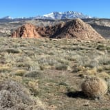 Yellow Knolls Trail, Utah - 437 Reviews, Map | AllTrails
