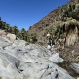 Victor Loop, California - 1,522 Reviews, Map | AllTrails