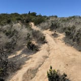 Cerro Mauco, Valparaíso, Chile - 120 Reviews, Map | AllTrails