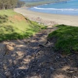San Simeon Bay Trail, California - 1,174 Reviews, Map | AllTrails