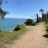 San Simeon Bay Trail, California - 1,242 Reviews, Map | AllTrails