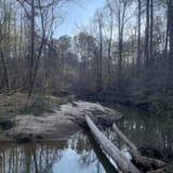 Cochran Mill Loop 1 and 2 (Orange), Georgia - 820 Reviews, Map | AllTrails