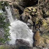 Greeter Falls Loop, Tennessee - 1,122 Reviews, Map | AllTrails