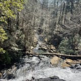 Greeter Falls Loop, Tennessee - 1,122 Reviews, Map | AllTrails