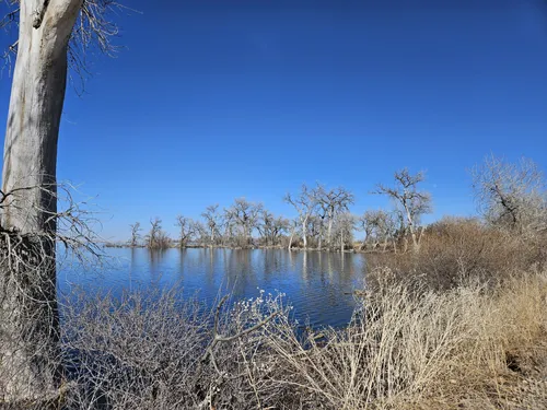 Best Wheelchair Friendly Trails in Barr Lake State Park | AllTrails