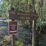 Mount Walker, Washington - 2,083 Reviews, Map | AllTrails