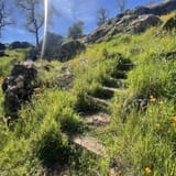 Stanislaus River Trail From Knights Ferry, California - 1,135 Reviews ...