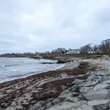 Cliff Walk, Rhode Island - 2,976 Reviews, Map | AllTrails