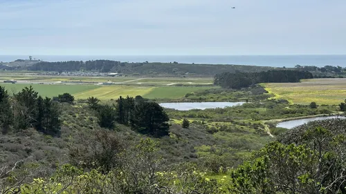 Best Trail Running Trails in Moss Beach | AllTrails