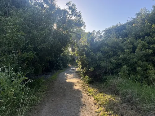 Best Hikes and Trails in Guajome Regional Park | AllTrails