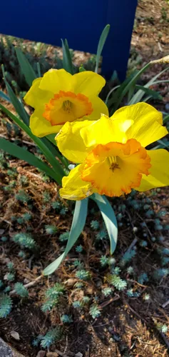 Best Hikes and Trails in Burlington Springwood Park | AllTrails