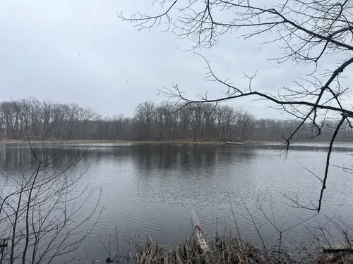 Best Forest Trails in Independence Oaks County Park | AllTrails