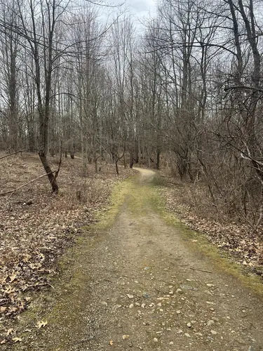 Best Forest Trails in Independence Oaks County Park | AllTrails