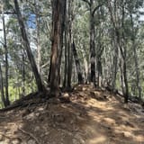 Makiki Valley Loop, Oahu, Hawaii - 5,605 Reviews, Map | AllTrails