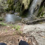 Gorman Falls Trail, Texas - 1,097 Reviews, Map | AllTrails