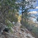 Signal Knob Loop Trail, Virginia - 1,054 Reviews, Map | AllTrails