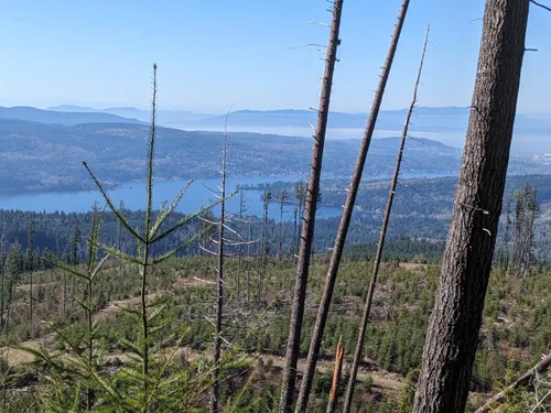 Best Views Trails in Lake Whatcom Park | AllTrails