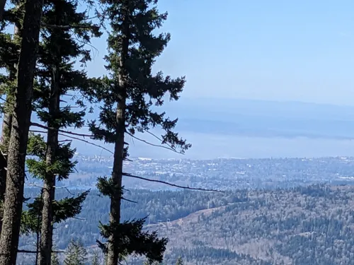 Best Views Trails in Lake Whatcom Park | AllTrails