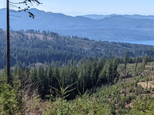 Best Hikes and Trails in Lake Whatcom Park | AllTrails