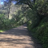 Clementine Trail to Lake Clementine, California - 4,307 Reviews, Map ...