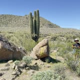 Hawes Ridge Loop, Arizona - 2,842 Reviews, Map | AllTrails