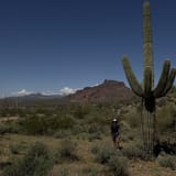 Hawes Ridge Loop, Arizona - 2,842 Reviews, Map | AllTrails