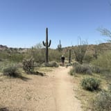 Hawes Ridge Loop, Arizona - 2,739 Reviews, Map | AllTrails