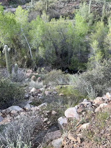 Best Walking Trails in Spur Cross Ranch Conservation Area | AllTrails