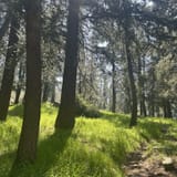 Henninger Flats Trail, California - 2,719 Reviews, Map | AllTrails