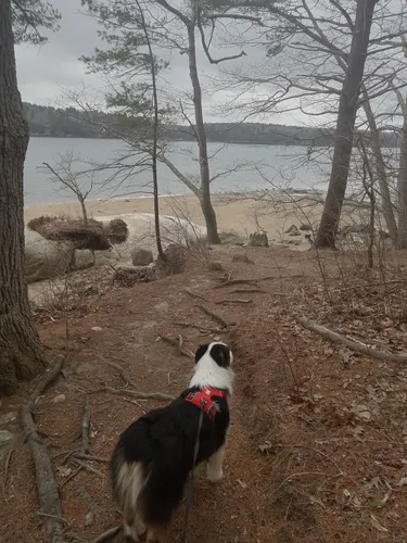 Best Kid Friendly Trails in Dodge Point Public Reserved Land | AllTrails