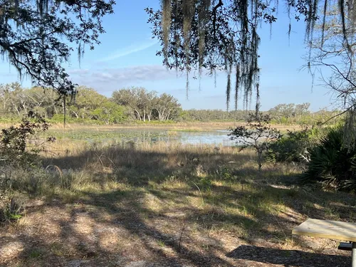 Best Hikes and Trails in Lake Wales Ridge State Forest | AllTrails