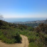 Temescal Canyon Trail, California - 9,822 Reviews, Map | AllTrails