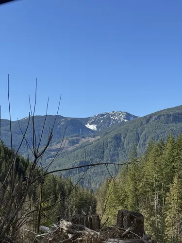 Best Camping Trails in Chehalis 5 | AllTrails