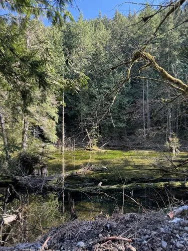 Best Camping Trails in Chehalis 5 | AllTrails