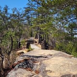 Sky Bridge Trail, Kentucky - 2,363 Reviews, Map | AllTrails
