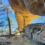 Sky Bridge Trail, Kentucky - 2,357 Reviews, Map | AllTrails